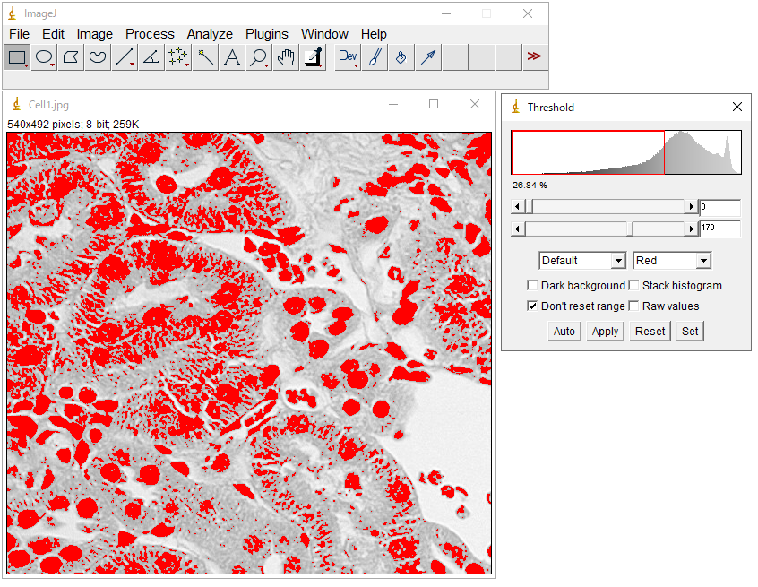 ImageJで細胞画像の解析してみました｜MiVLog（ミブログ）