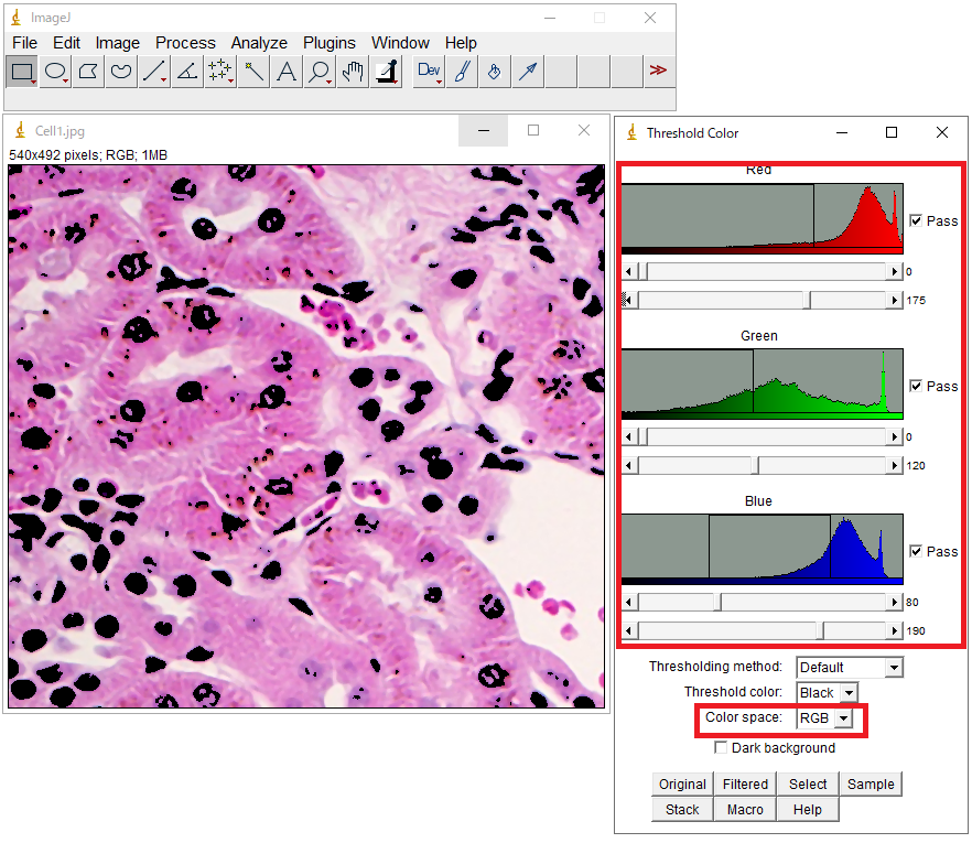ImageJで細胞画像の解析してみました｜MiVLog（ミブログ）