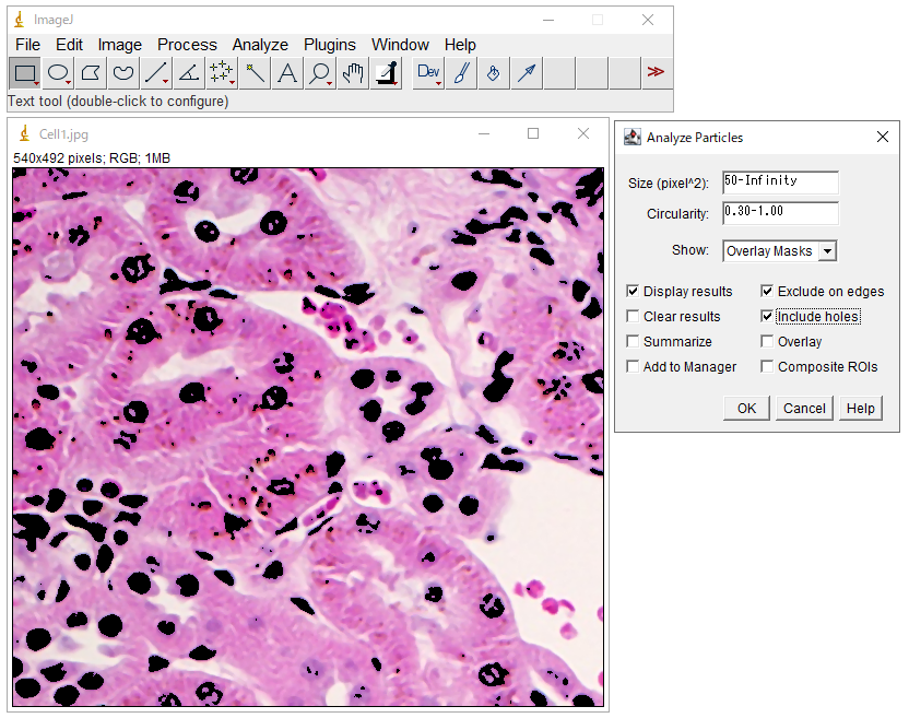 ImageJで細胞画像の解析してみました｜MiVLog（ミブログ）