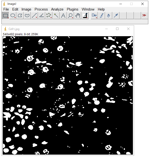 ImageJで細胞画像の解析してみました ～応用編～｜MiVLog（ミブログ）