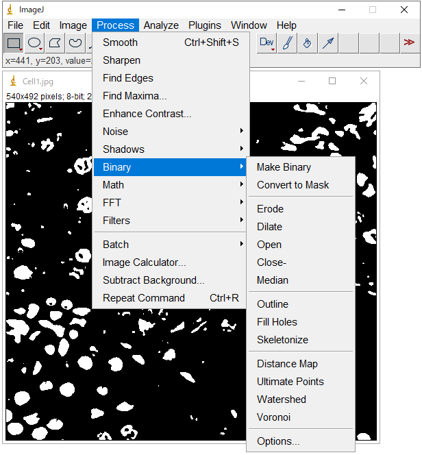 ImageJで細胞画像の解析してみました ～応用編～｜MiVLog（ミブログ）