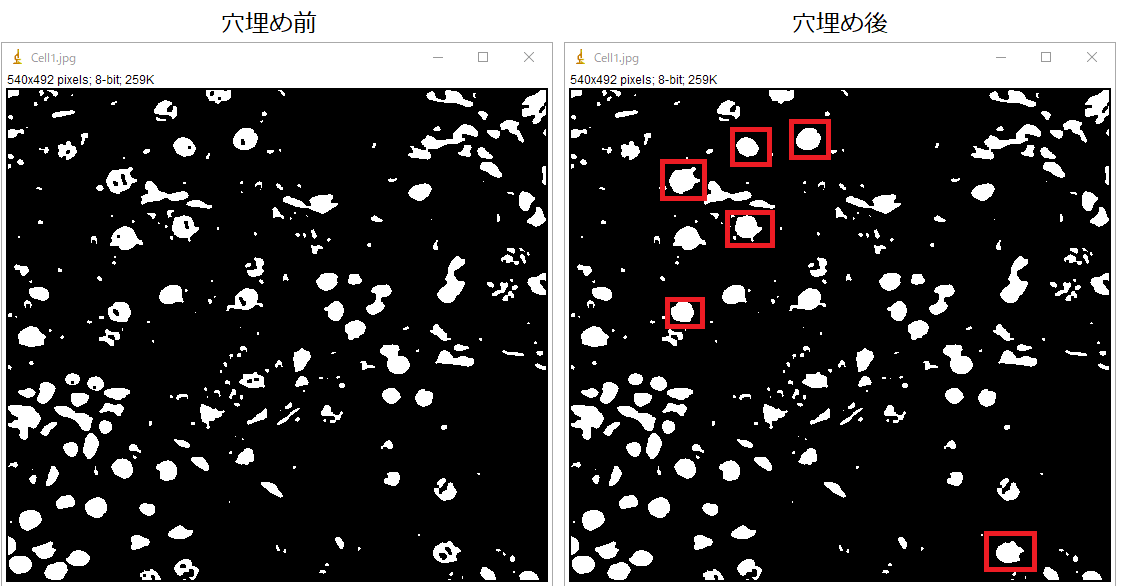 ImageJで細胞画像の解析してみました ～応用編～｜MiVLog（ミブログ）