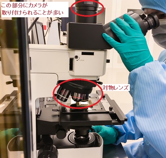 顕微鏡画像撮影における画角(FOV)の考え方と計算方法｜MiVLog（ミブログ）